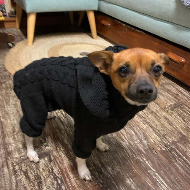 Beautiful clothes for small dogs made of natural by MiniDogClothes