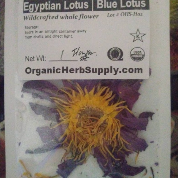Nymphaea Caerulea | Blue Egyptian Lotus | Sacred Water Lily | Blue ...