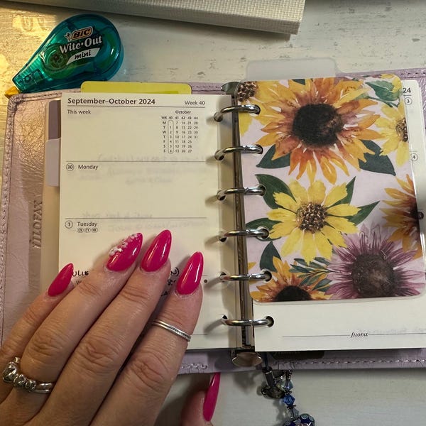 Happy Planner Micro Notes (3 X 4”) Disc Planner Daily, Weekly Printed ...