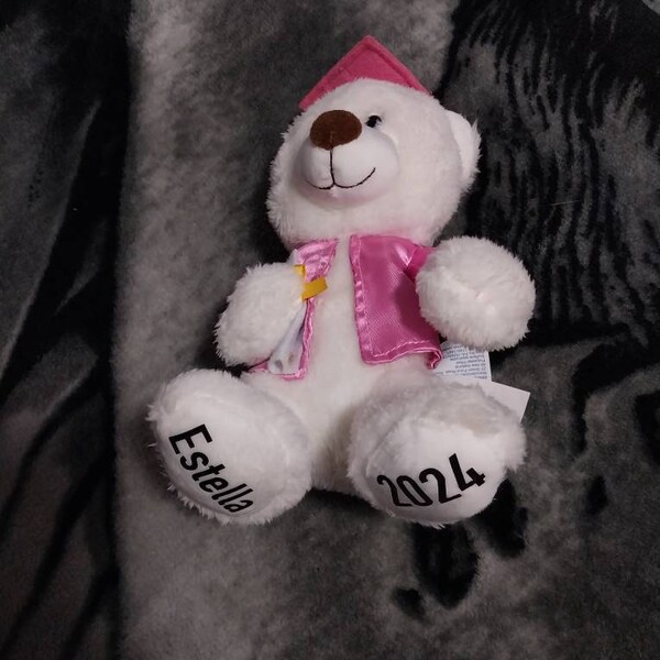 Custom Graduation Bear, Graduation Gifts, Graduation 2024, Graduation ...