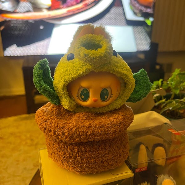 Woodland Elf Star Ear Muffs, Winter Ear Warmers, Gifts for Her, Crochet ...