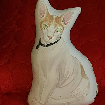 Custom Cat Pillow, Personalized Gift for Pet Lovers, Cat Gifts, Cat ...
