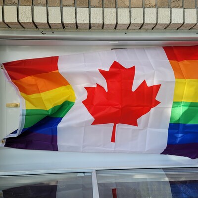 12 Rainbow Pride Flags Last Chance Clearance Small LGBTQ Pride Flags ...