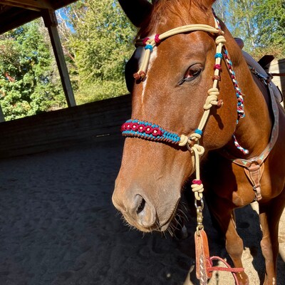 SUNFLOWER Knotted Soft Indian Hackamore Bitless Bridle Sunflower ...