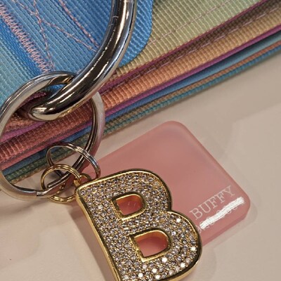 Frosted Dog Tag, Personalized Dog Tag, Dog Id Tag, Cat Name Tag, Pet ...