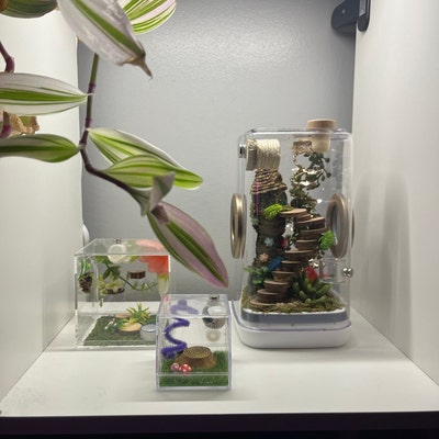 Jumping Spider Enclosure 5x5x9 Spider House, Spider Tank, Spider ...