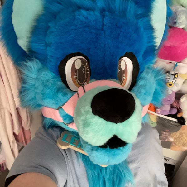 Pride Flags Fursuit Collar - Etsy