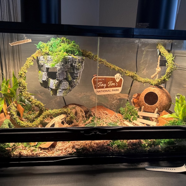 Wooden CREATURE PINS | Any Species | Custom Reptiles Amphibians ...