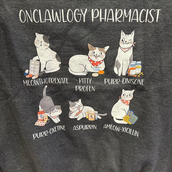 Positive Cats Catffirmations Shirt, Cat Lover Teacher Shirt, Classroom ...