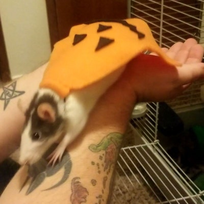 Jack O' Lantern Cape Costume for Pet Rats, Orange Cape With Black ...