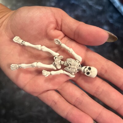 Miniature Skeleton Dog Posable, Posable Skeleton, Halloween Miniatures ...