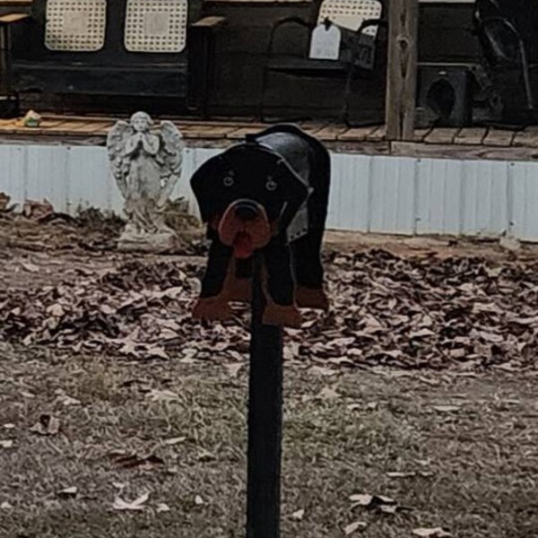 Dog Mailboxes - Rottweiler Mailbox - Etsy