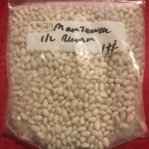 Heirloom Old Dutch White Half Runner Bean Seeds Non GMO - Etsy