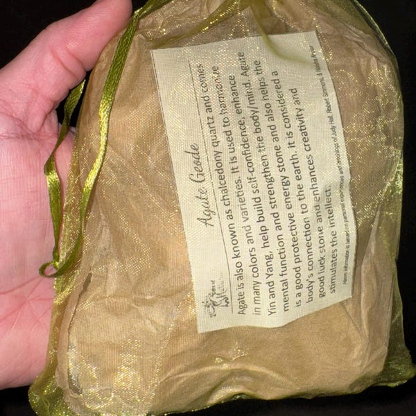 BIG 4.75" Orthocerous Fossil - EXACT PIECE - Nautiulus - Polished ...