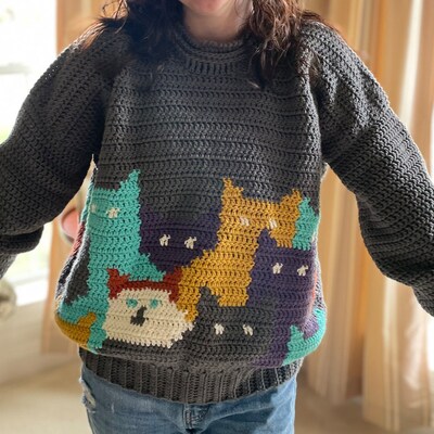 PATTERN Cat Sweater Crochet - Etsy