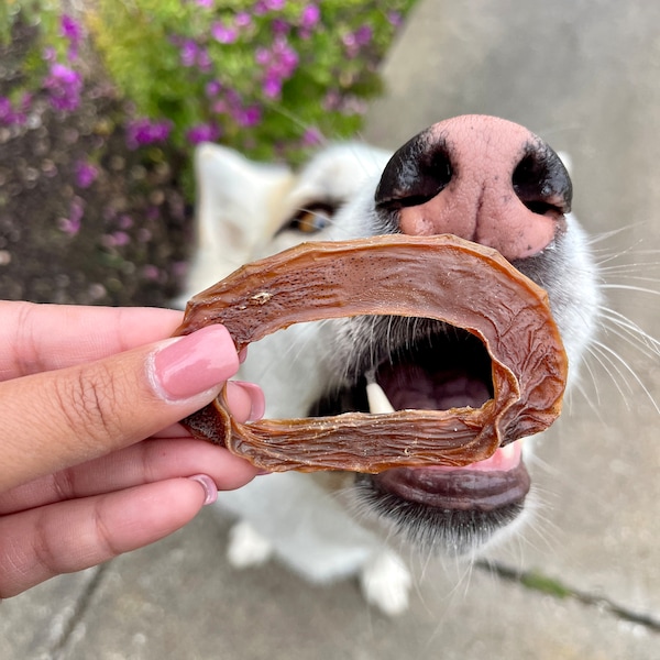 Bison Heart Dog Treats, Dehydrated Bison Heart for Dogs, Bison Organs ...