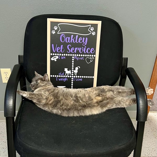 Veterinary First Visit Chalkboard - Vet Visit Chalkboard - Pets First ...