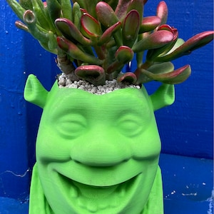 Shrek Planter - Etsy
