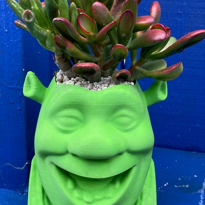 Shrek Planter - Etsy