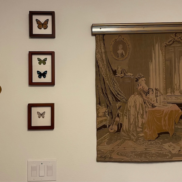 Real Framed Butterfly Monarch Butterfly Display 6x6 - Etsy