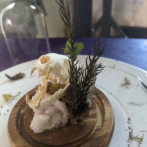 Forest Floor Kit, Forest Findings, DIY Kit for Adults, Nature Mystery ...