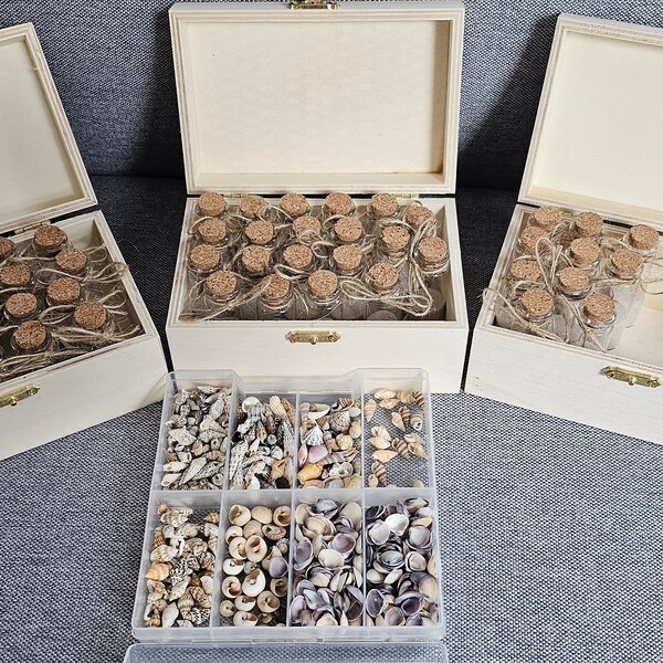 100 Baby Sea Shell Mix, Small Shells, Tiny Beach Finds, Mini Shells ...