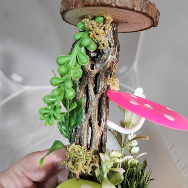 Jumping Spider Enclosure 5x5x9 Spider House, Spider Tank, Spider ...