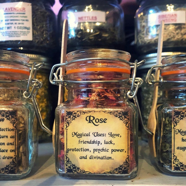 Marshmallow Root Herb & Jar - Etsy