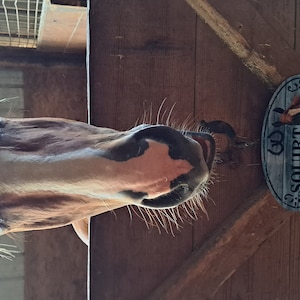 Jazz Club Neon Themed Custom Sign Jazz Bar Signs Night Club - Etsy