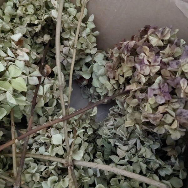 3st Natural Dried Hydrangea: Earthy Rustic Floral Arrangement - Etsy