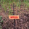 APPLES Sign, Outdoor Sign, Yard Art, Fruit Tree Marker, Orchard Sign ...