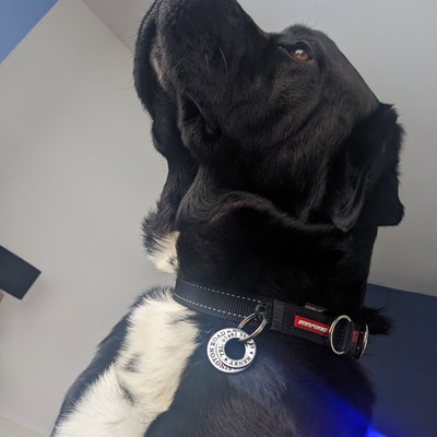 Funky Design Pet Dog ID Disc Tag. Stainless Steel Washer Style ...