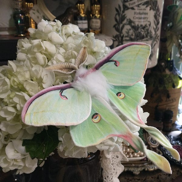 Handmade Realistic Green Luna Moth Hair Clip Accessory or Brooch ...