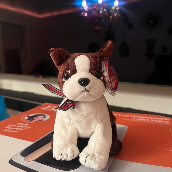 TY Beanie Baby crunch the Shark. New, Never Played With. Stored in a ...