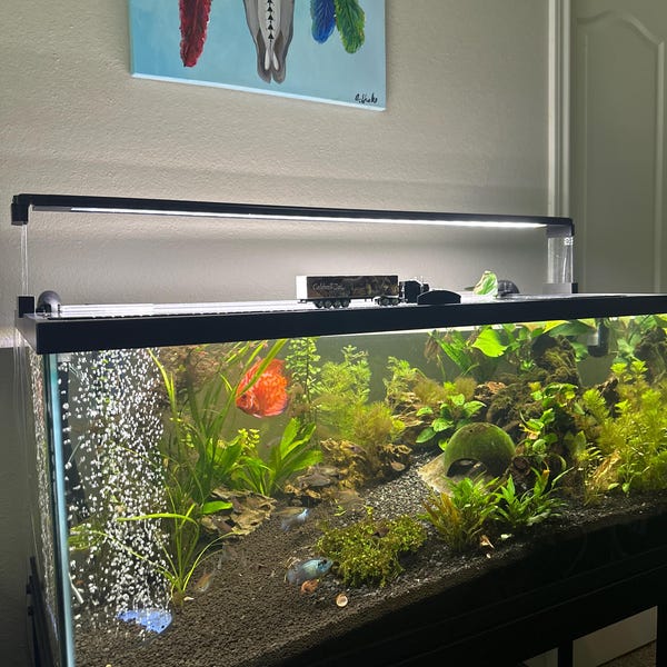Finnex Stingray Original LED Light Riser, Attractive Stable Elevated ...