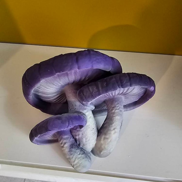 Snail Core Bowl, Unique 3D Printed Decor, Spiral Design, Artistic ...