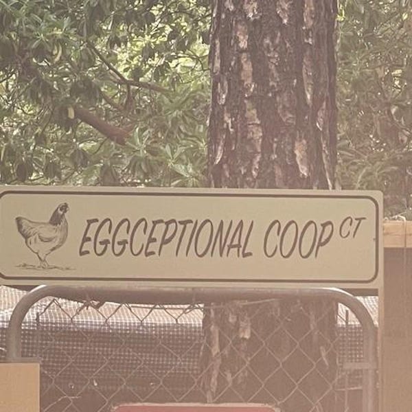 Funny Chick Sign, Funny Girl Decor, Funny Farm Sign, Farmer Humor ...