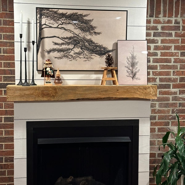 Pine Tree Branch Print, Vintage Tree Drawing Enhanced, Printable Tree ...