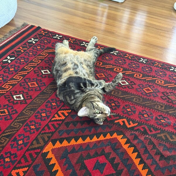 4x3 Gorgeous Turkish Mamluk Area Rug/ Afghan Handmade Plush Wool Rug ...