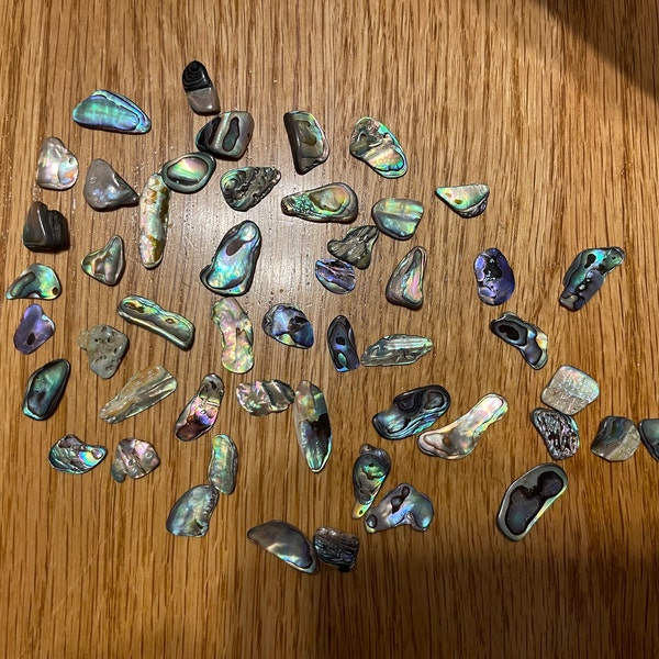 SET OF 50 Abalone Shells, Raw Abalone Shell, Raw Nacre Pearl, Мother of ...