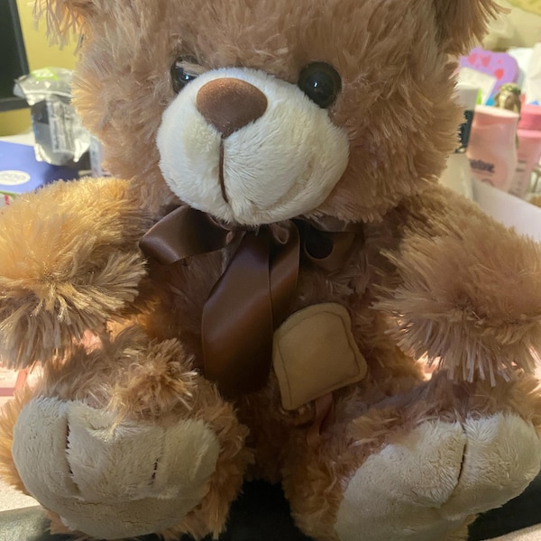 Ostomy Bear, Ostomy, Teddy Bear, Pediatric, Ileostomy, Surgery ...