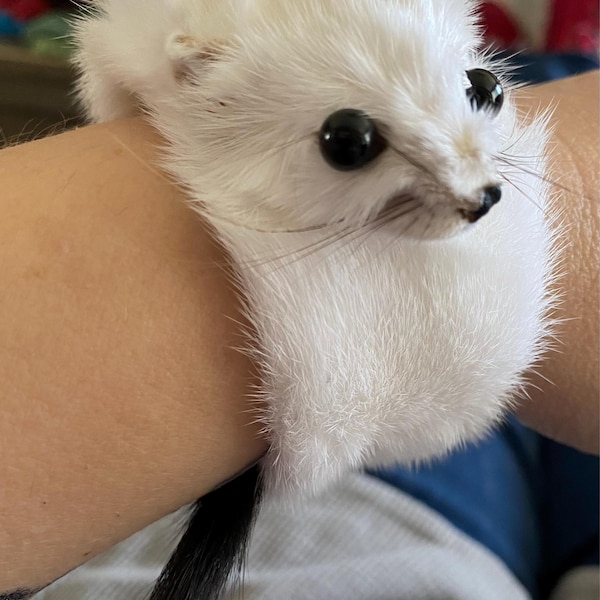 Weasel Slap Bracelet, Sherman the Ermine, White Ermine Slap Bracelet ...