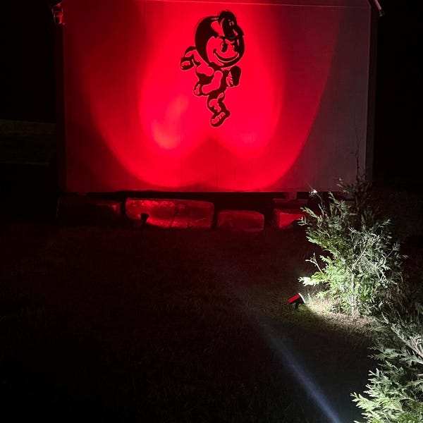 Fireball Shot Dispenser, Shot Dispenser, Fireball, Whiskey Dispenser ...