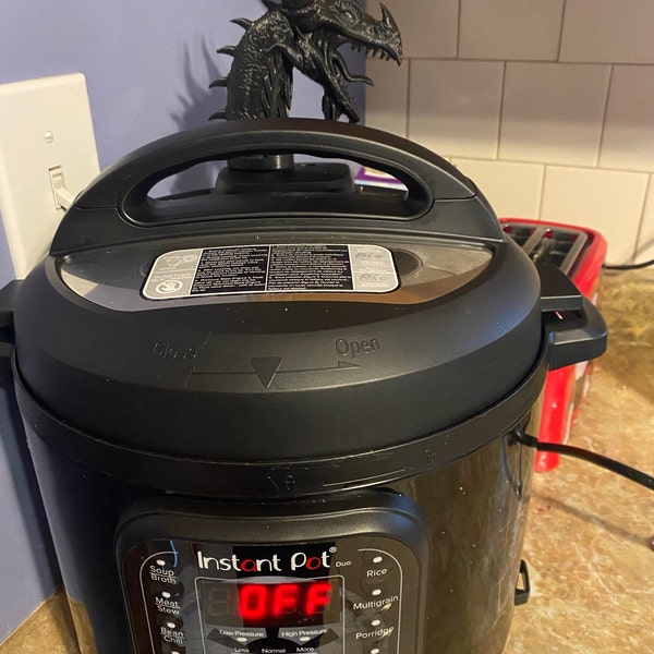 Instant Pot Dragon – instant pot vent 3d models – FNVV