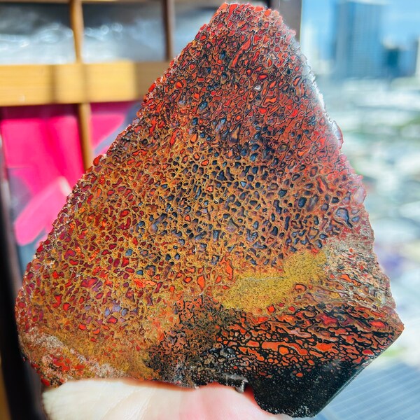 Agate Dinosaur Gem Bone Collection Piece Hand Made Agatized Dino Gem ...