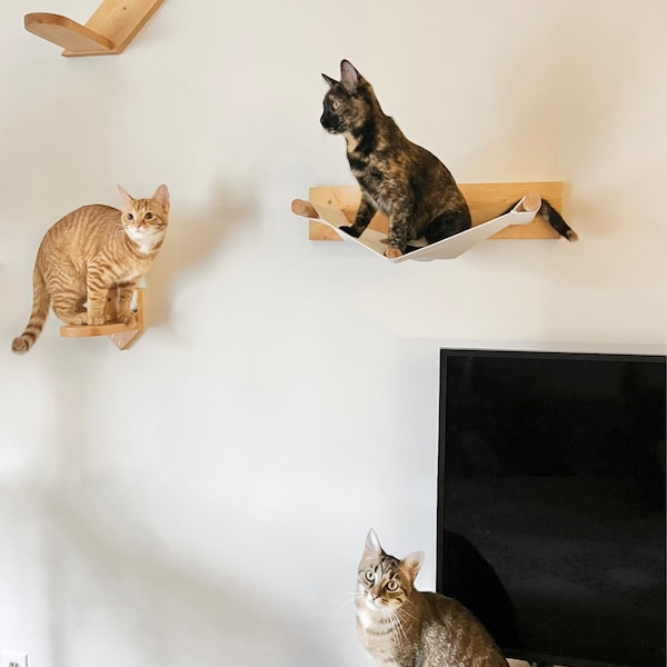 Pine Wood Cat Wall Post (play Furniture Cat Shelves) Includes Cat Bed ...