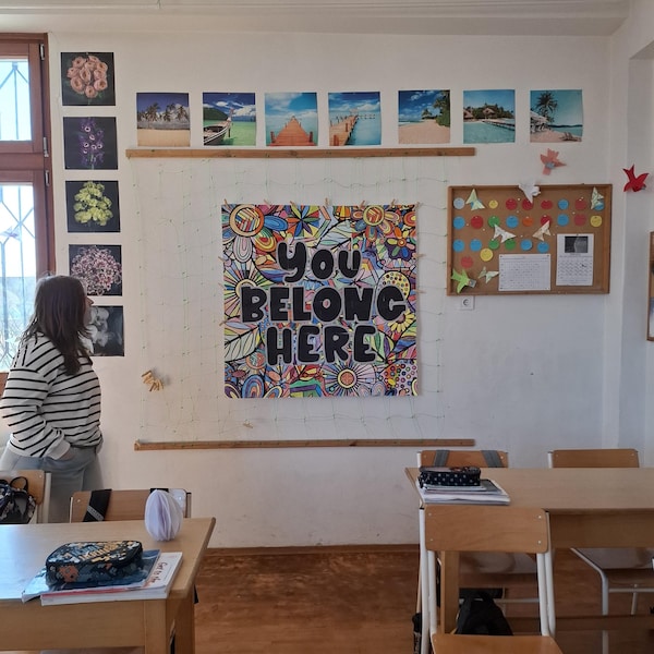 Silly Goose Bundle - Classroom Management - Class Mascot - Magnetic ...