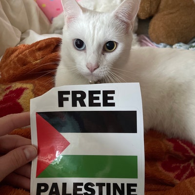 Airbus A380 Sticker, Emirates Airplane Sticker Waterproof for Suitcase ...