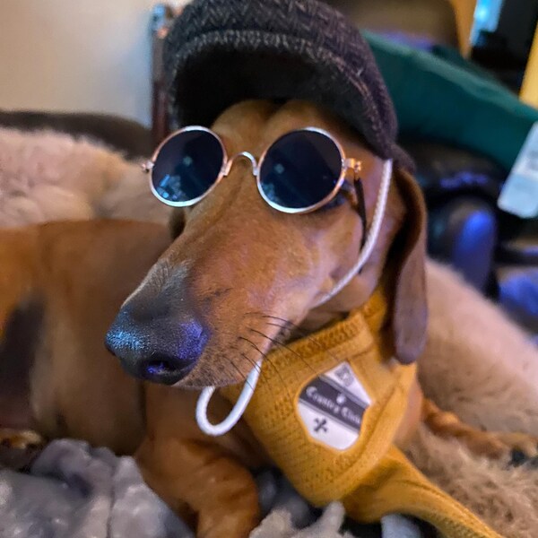 Dogs Sailor Hat, Cape Set HANDMADE Dog Hats, Dog Caps, Marine Hat ...