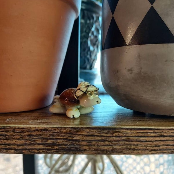 Seashell Cowrie Turtle Shell Tiny Turtle Made From Cowry Sea Shell ...